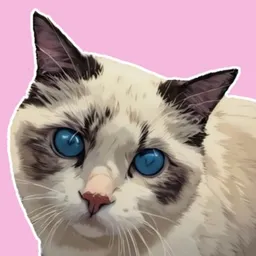 Taylor Swift Cat (BENJAMIN) coin contract is ...