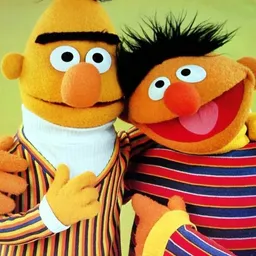 Bert and Ernie (BAE) coin contract is ...