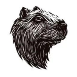 Capybara (CAP) coin contract is 0x6f96071672D5C2422751f003B5a61dA1De767135