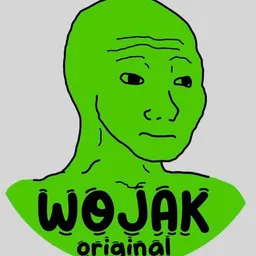 WOJAK ORIGINAL (WJO) coin contract is ...