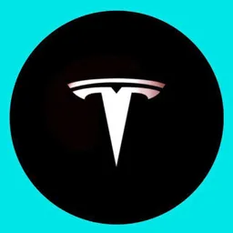 TESLA OFFICIAL CALLS (TESLA) coin contract is ...