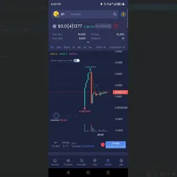 Baby Ponke (BP) coin contract is 0x365f4C9F13B1F9a5a8f2f9EB8b90849be78bBA5E