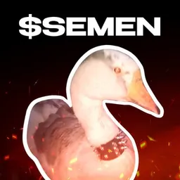 The Most Viral Goose On TikTok (SEMEN) coin contract is ...