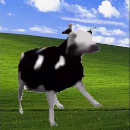 Polish Cow (PLOW) coin contract is ...