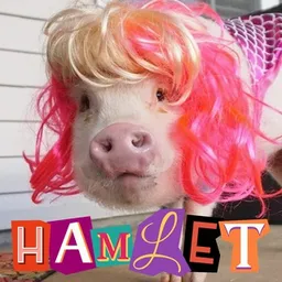 Hamlet the pig (HAMLET) coin contract is ...
