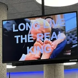 Long Live The Real King (REALKING) coin contract is ...