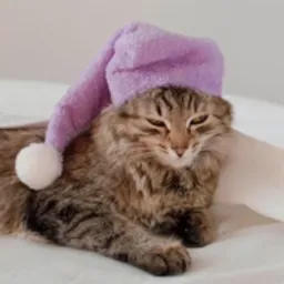 So Sleepy Eepy (SSEEPY) coin contract is ...