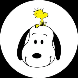 Snoopy (S) coin contract is 0x42451D82cF0cCd3D1d32b0D9F8F5021AB3c914E8