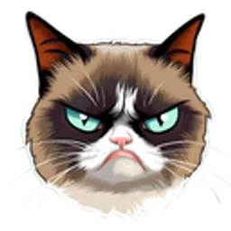 Grumpy (CAT) coin contract is 0x2c658B25A01125f79cD85cCCfF7636Af1436781C